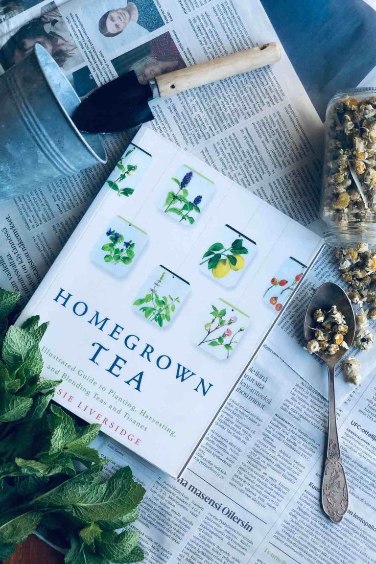 Best Books on Tea and Infusions | Find your new favorite!