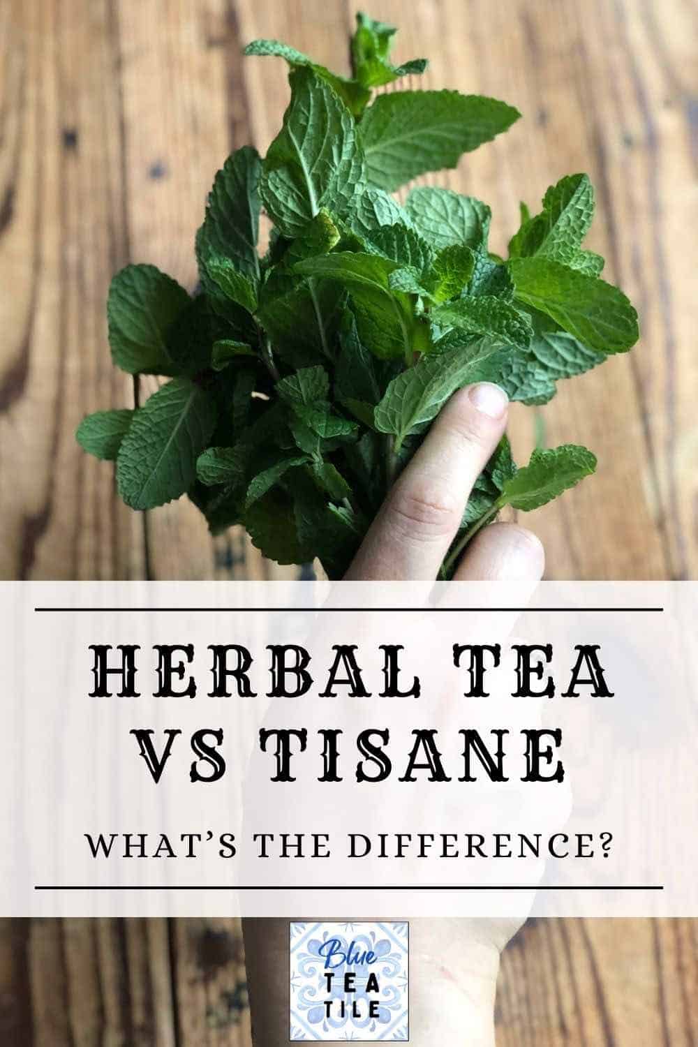 Tea, tisane, herbal tea, decoction: What's the difference?